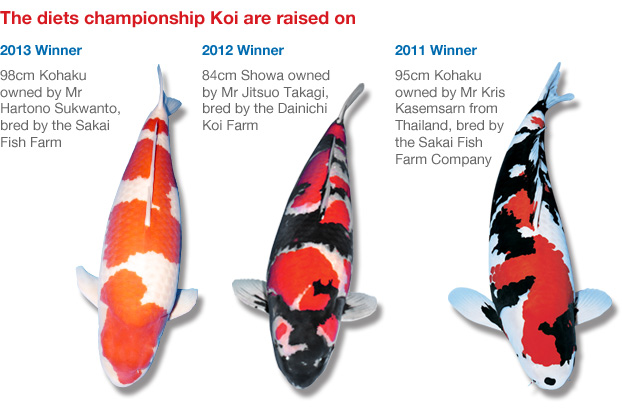 Hikari UK :: Championship Koi Diets